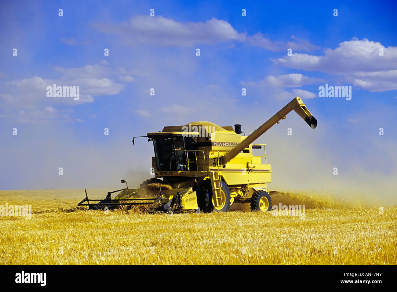 6 row barley field hi-res stock photography and images - Alamy