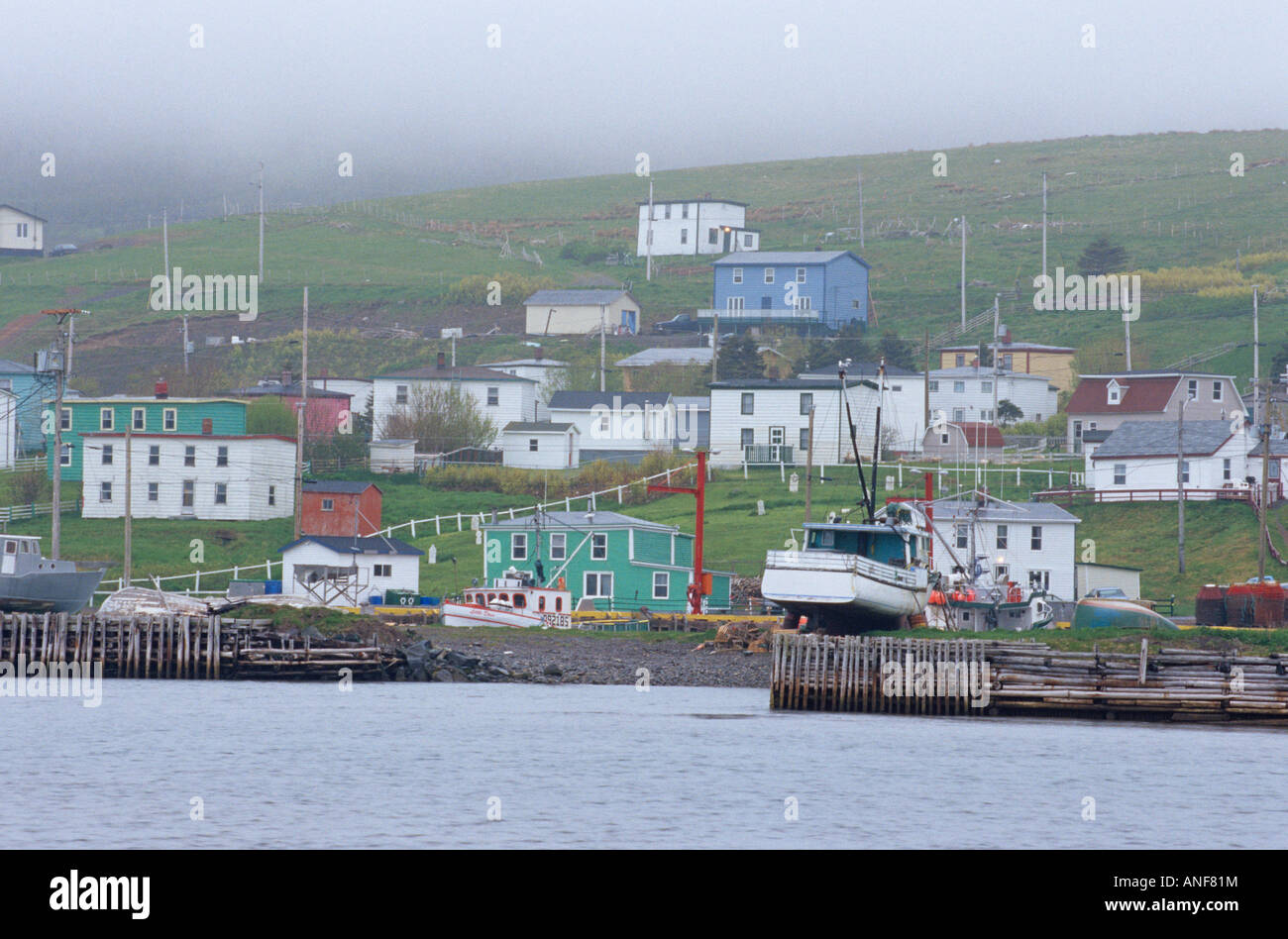 Coastal village in fog, Avalon Peninsula, Newfoundland, Canada Stock ...
