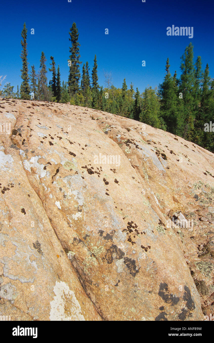 Precambrian rocks canadian shield hi-res stock photography and images ...