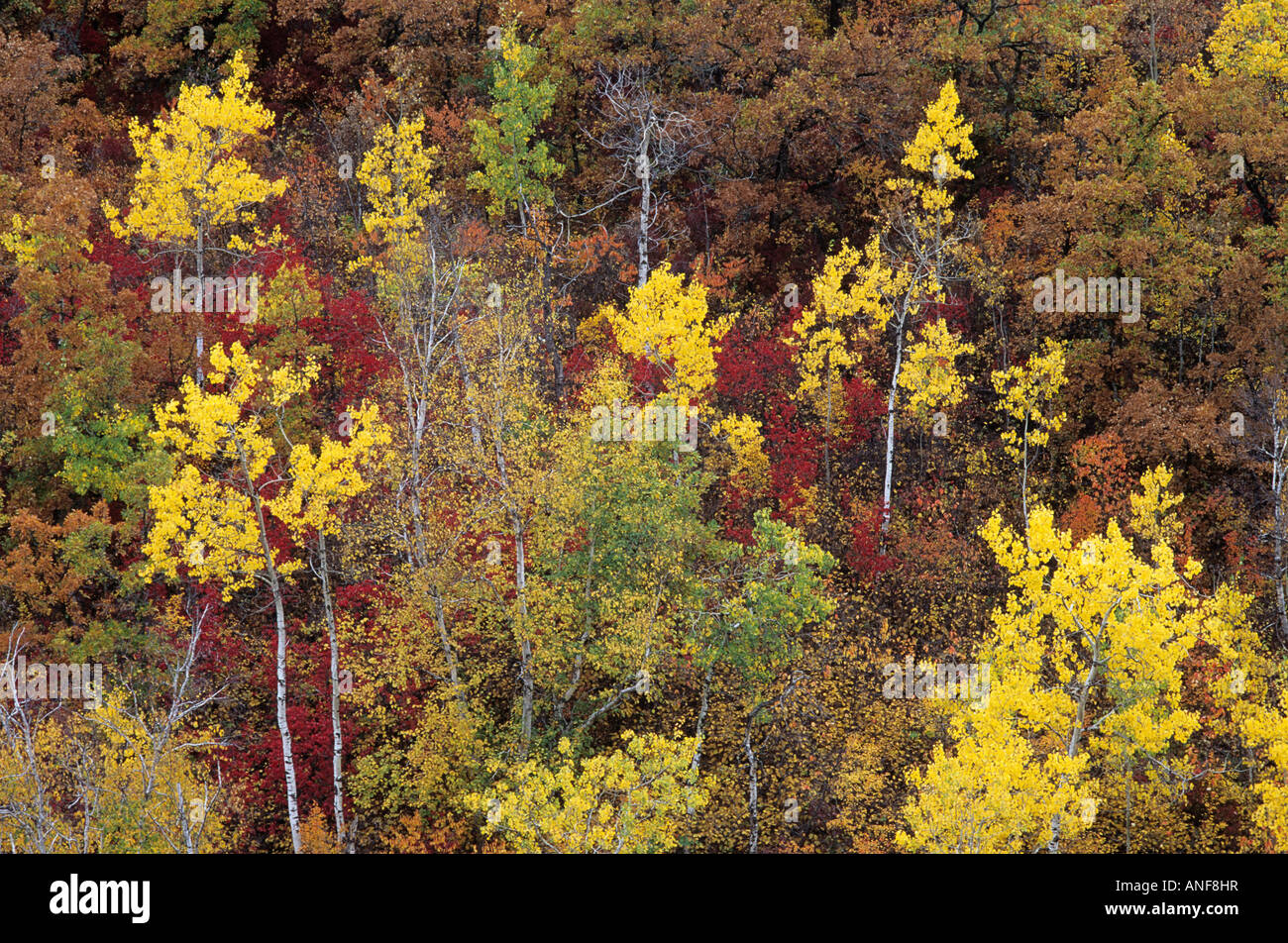 Autom scenics hi-res stock photography and images - Alamy