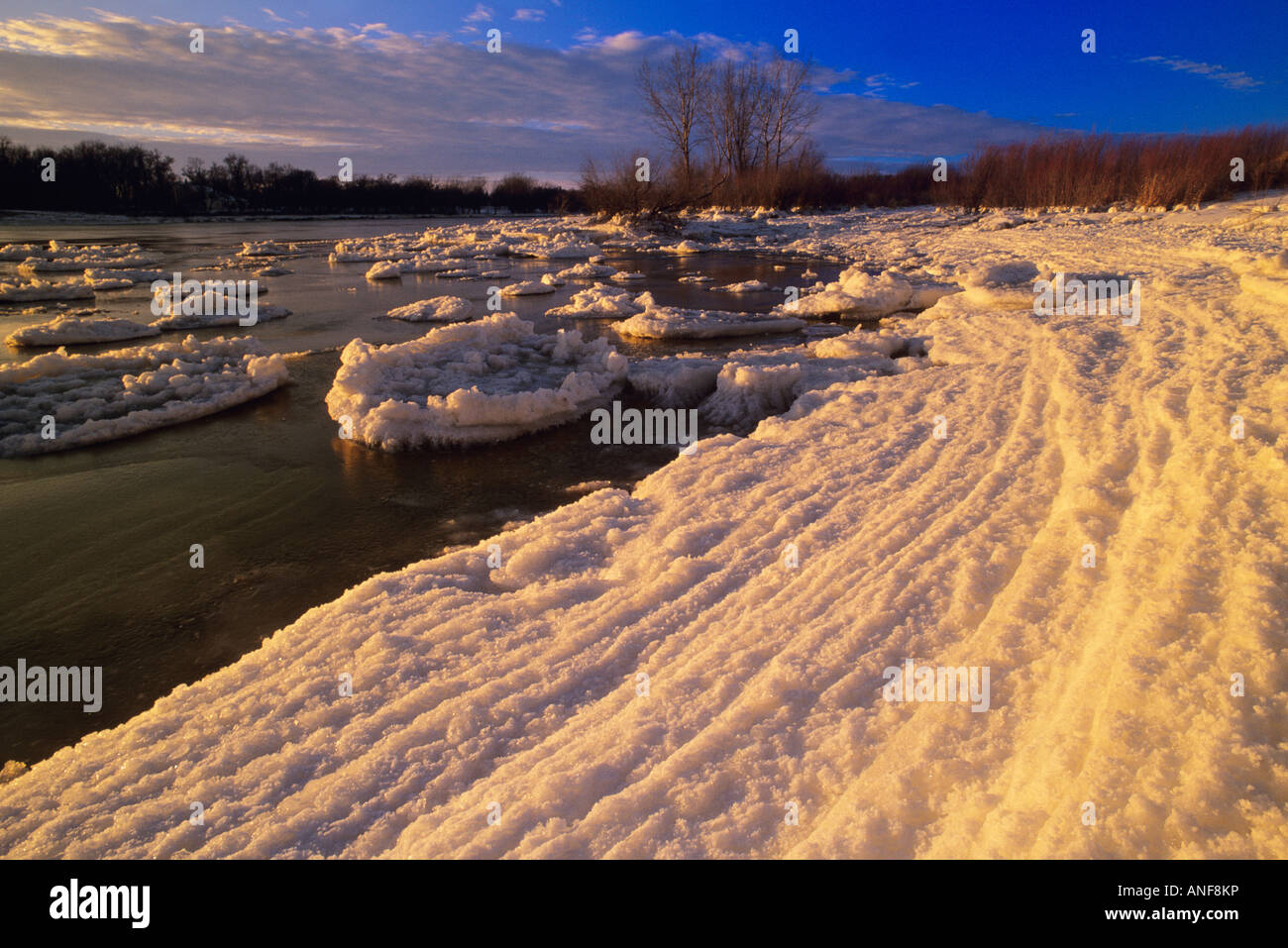 Ice on Red River, Winnipeg, Manitoba, Canada Stock Photo - Alamy