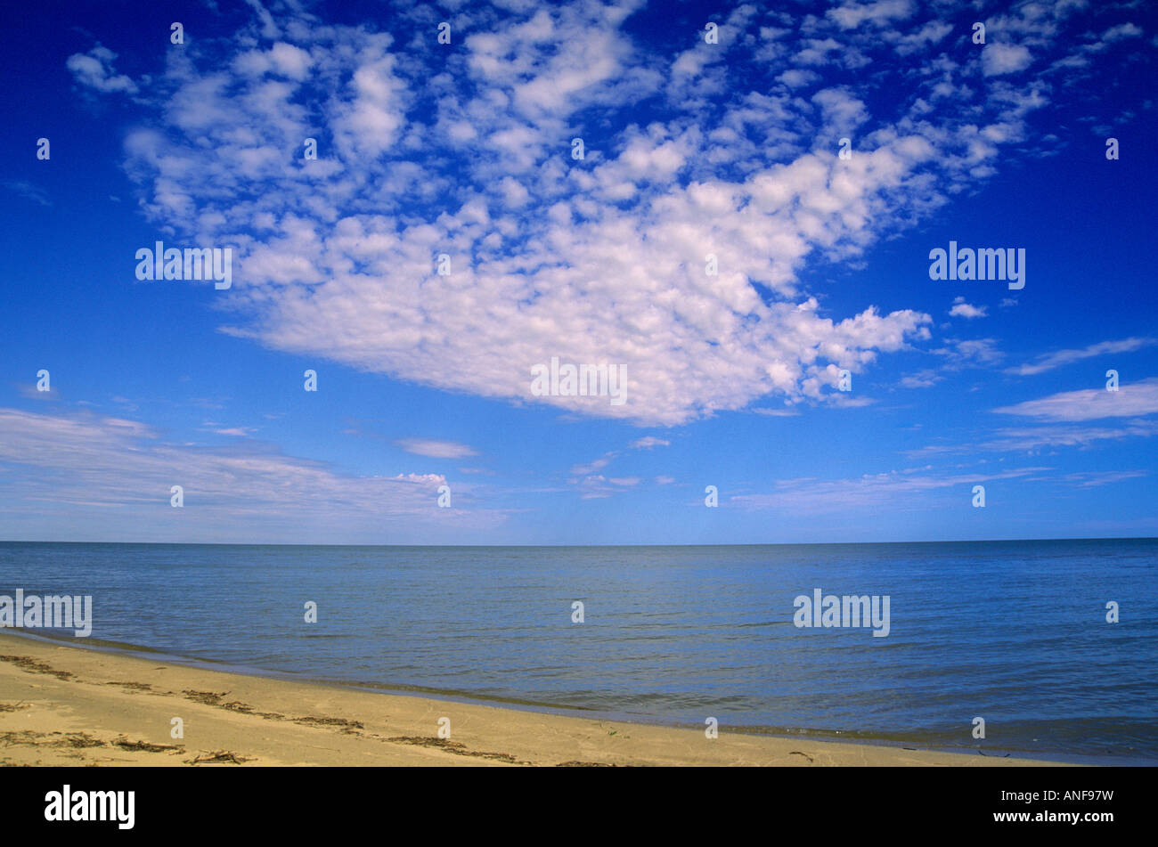 Delta Marsh at Lake Winnipeg, Manitoba, Canada Stock Photo - Alamy