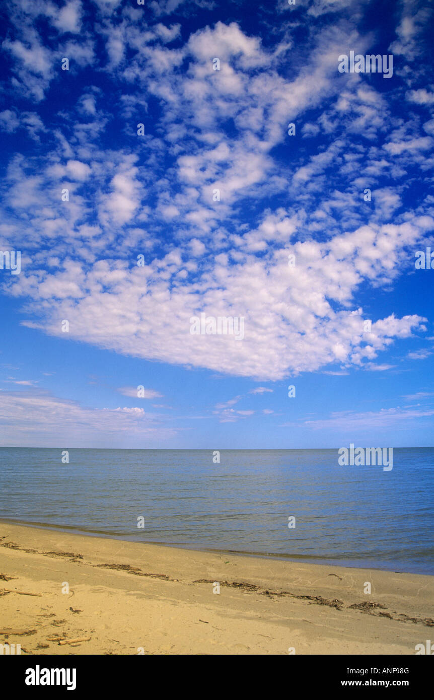 Delta marsh at lake winnipeg hi-res stock photography and images - Alamy