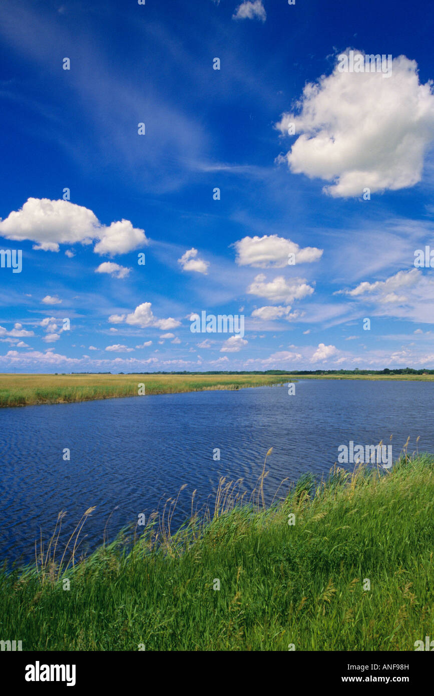 Delta marsh at lake winnipeg hi-res stock photography and images - Alamy