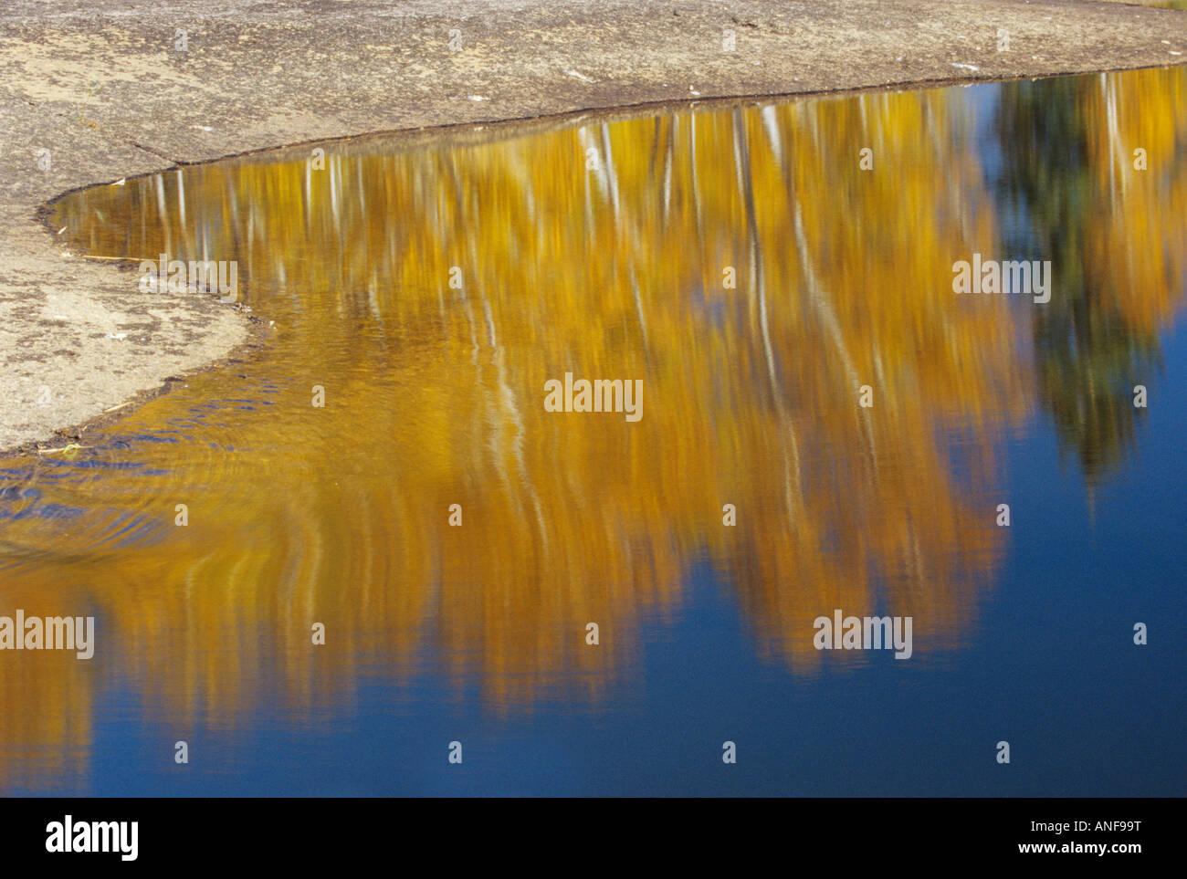 River, Whiteshell Provincial Park, Manitoba, Canada Stock Photo - Alamy