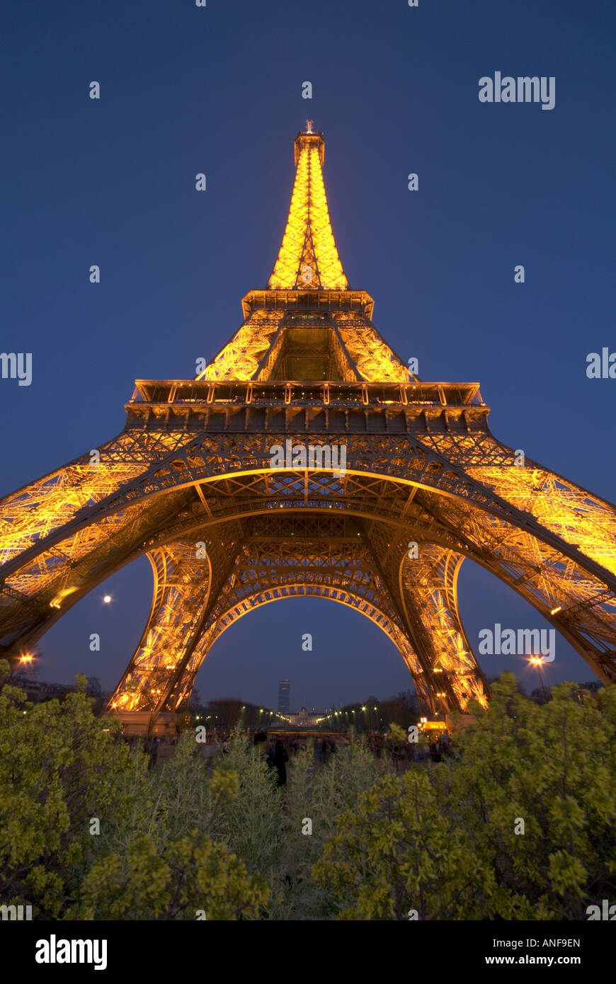 Full height view of eiffel tower by night Stock Photo - Alamy