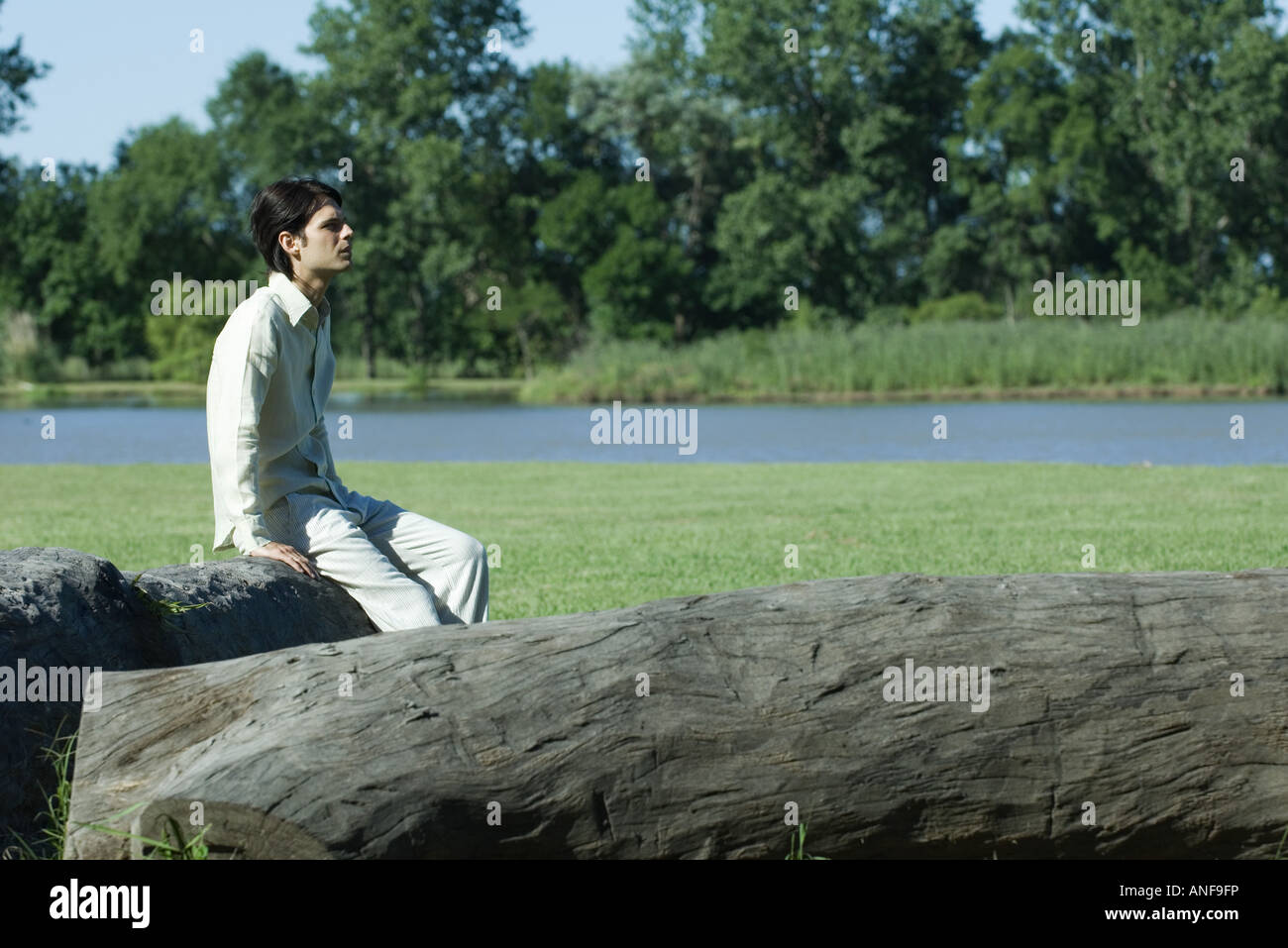 Man sitting on tree trunk in park, looking away Stock Photo - Alamy