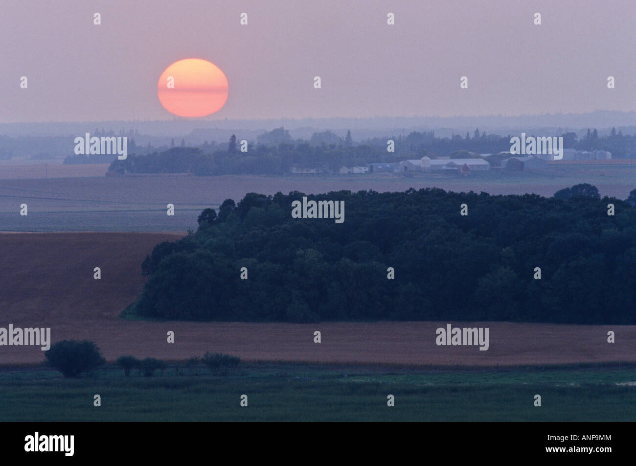 America prairies hi-res stock photography and images - Alamy