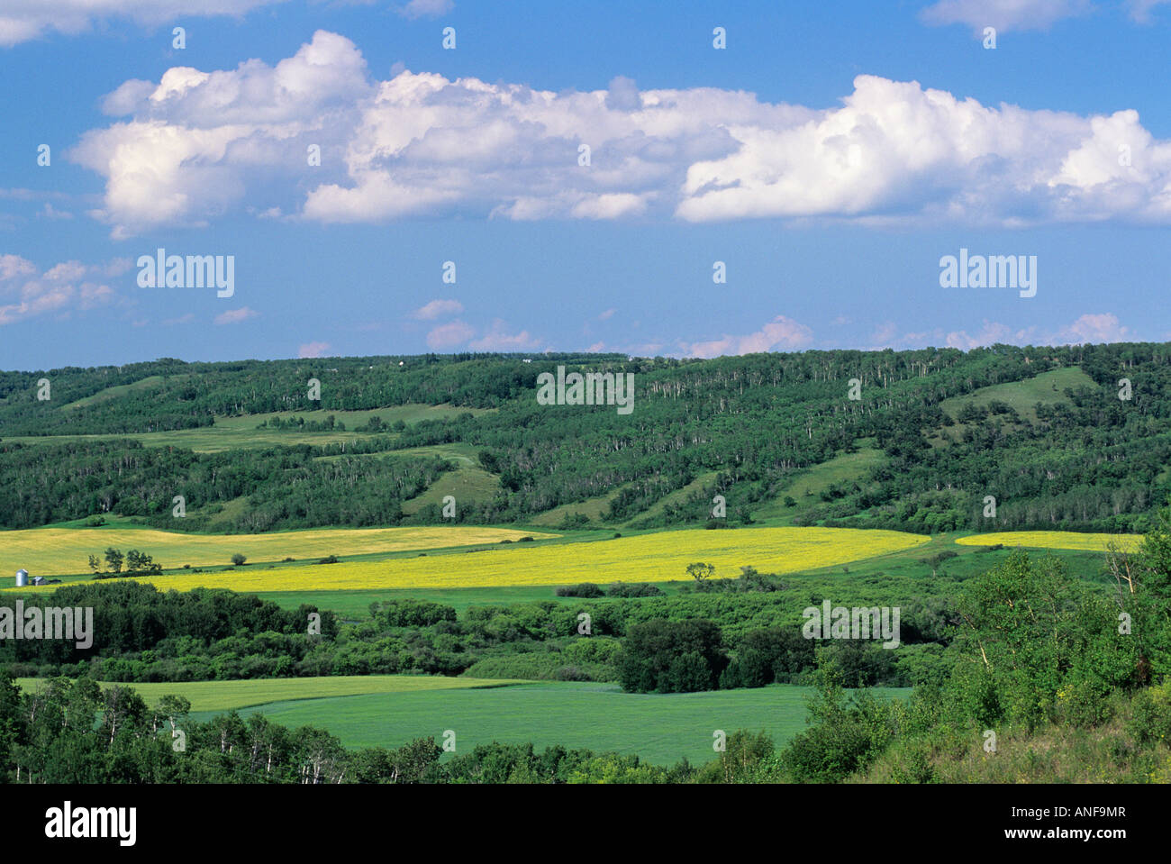 Prairie scenic, Minnedosa, Manitoba, Canada Stock Photo - Alamy