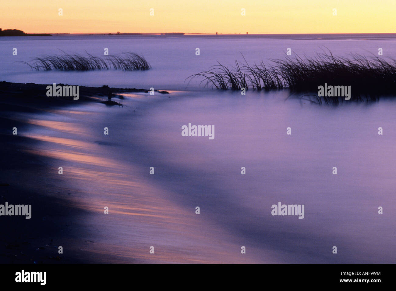 Sunset on Delta Marsh, Lake Manitoba, Manitoba, Canada Stock Photo - Alamy