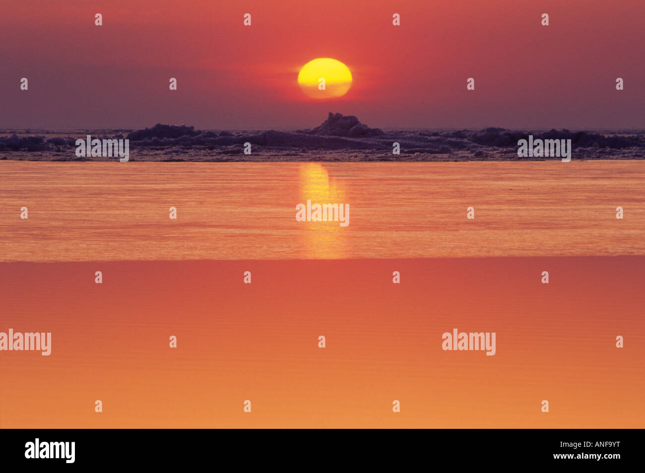 Delta marsh manitoba hi-res stock photography and images - Alamy