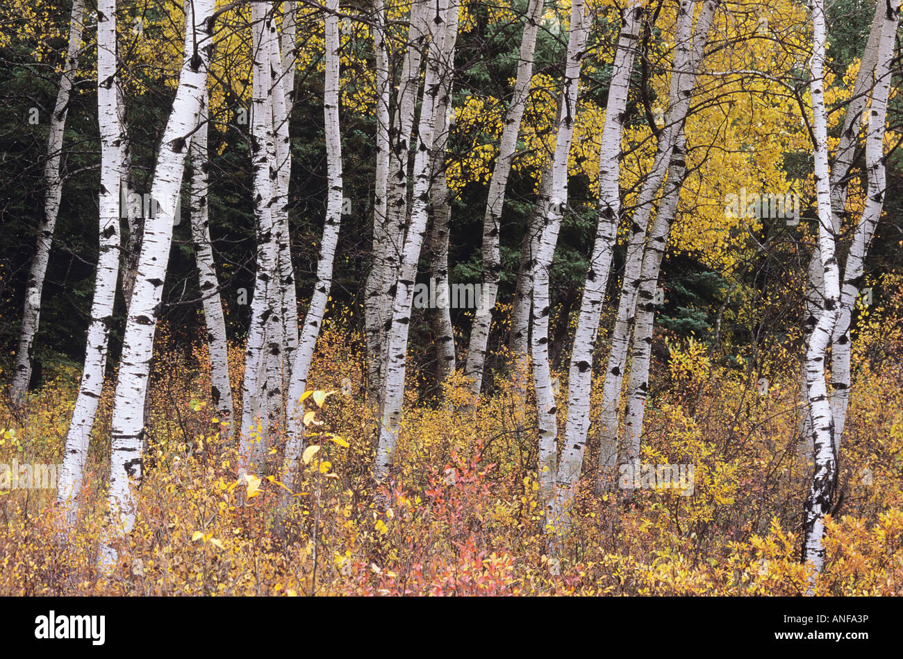 Manitoba escarpment hi-res stock photography and images - Alamy