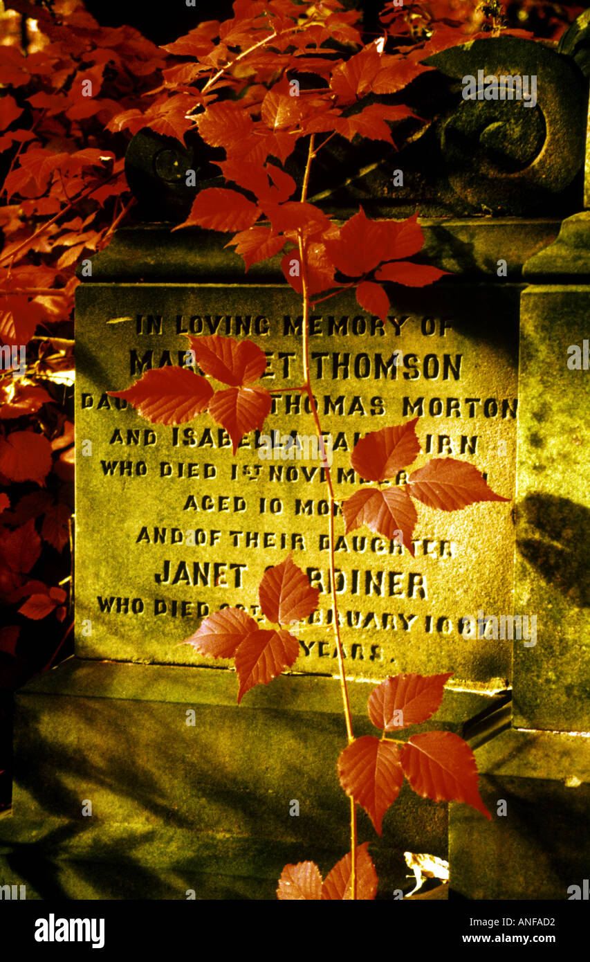 A colour Infra red image of a grave stone with a Bramble bush Stock ...