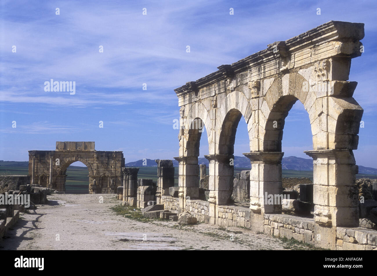 Decumanus Maximus main paved street in Roman ruins at Volubilis Morocco ...