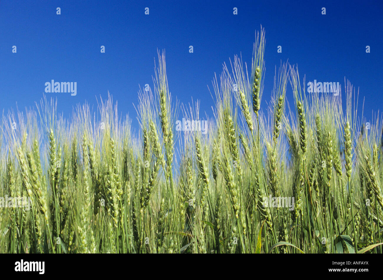 Portage La Prairie High Resolution Stock Photography and Images - Alamy