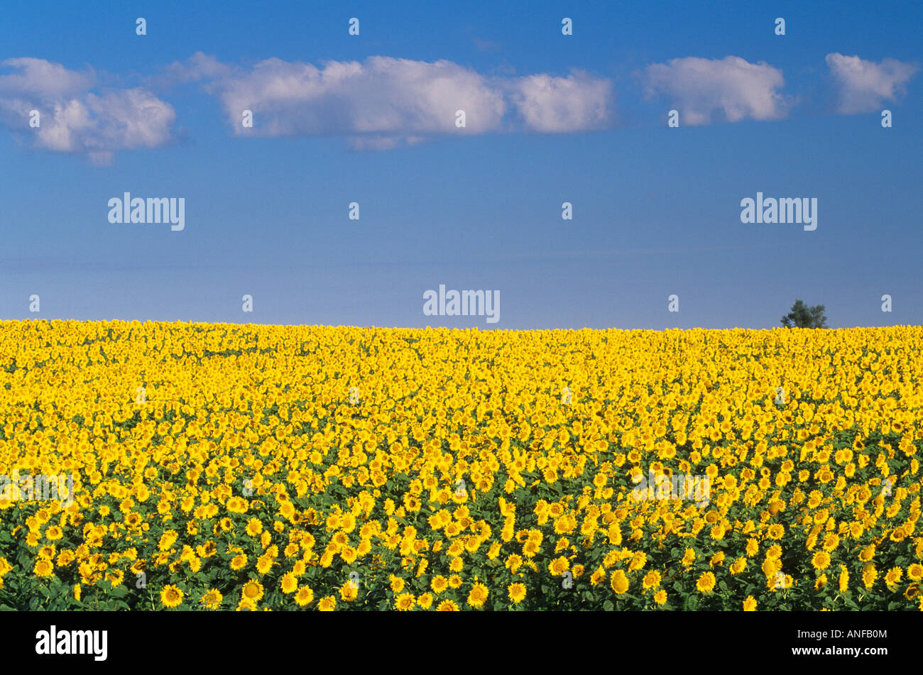 Mariapolis hi-res stock photography and images - Alamy