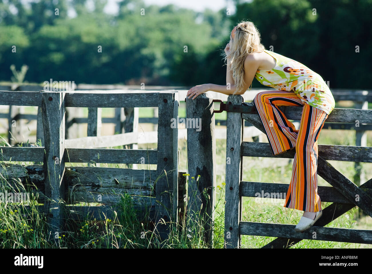 Dreamy sitting on the fence hi-res stock photography and images - Alamy