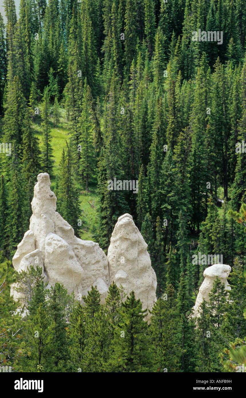 The Hoodoos, Banff National Park, Alberta, Canada Stock Photo - Alamy