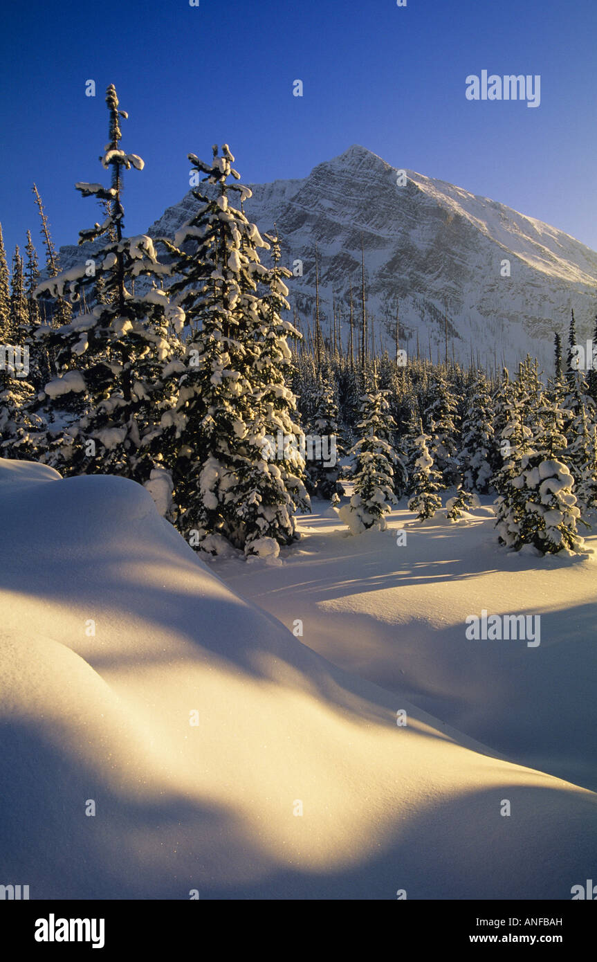 Continental Divide, Banff National Park, Alberta, Canada Stock Photo ...