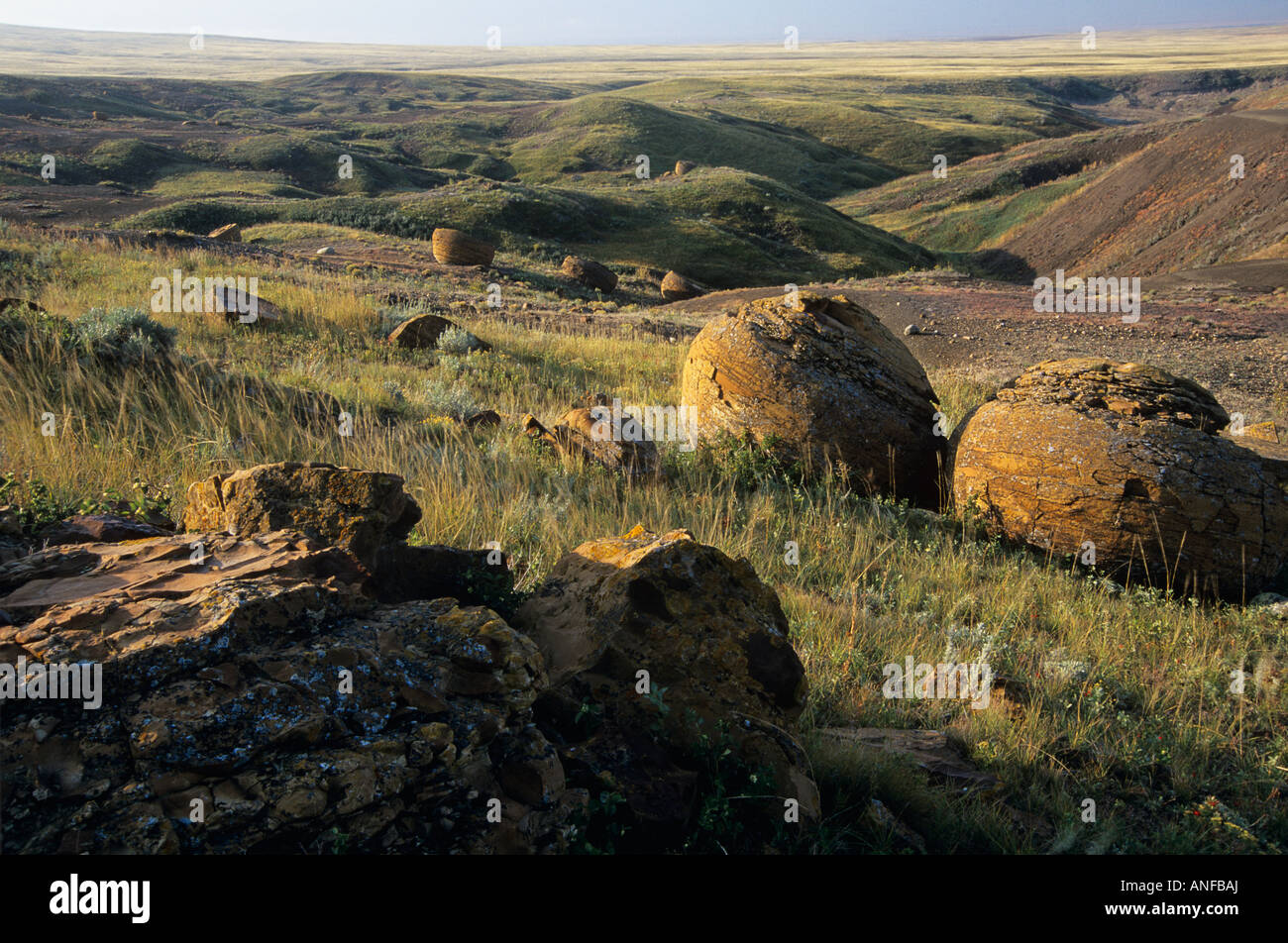 Prairie coulees natural area hi-res stock photography and images - Alamy