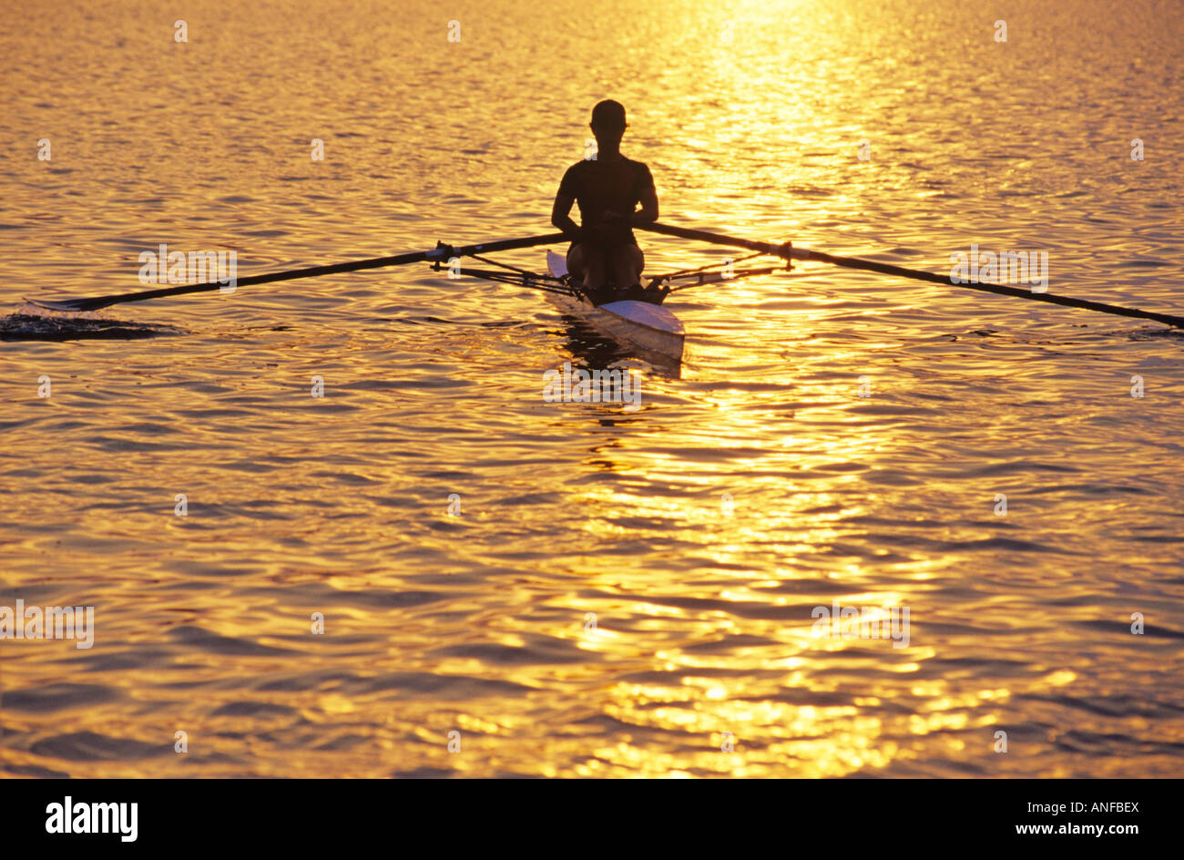 Rowing on ramsey lake hi-res stock photography and images - Alamy