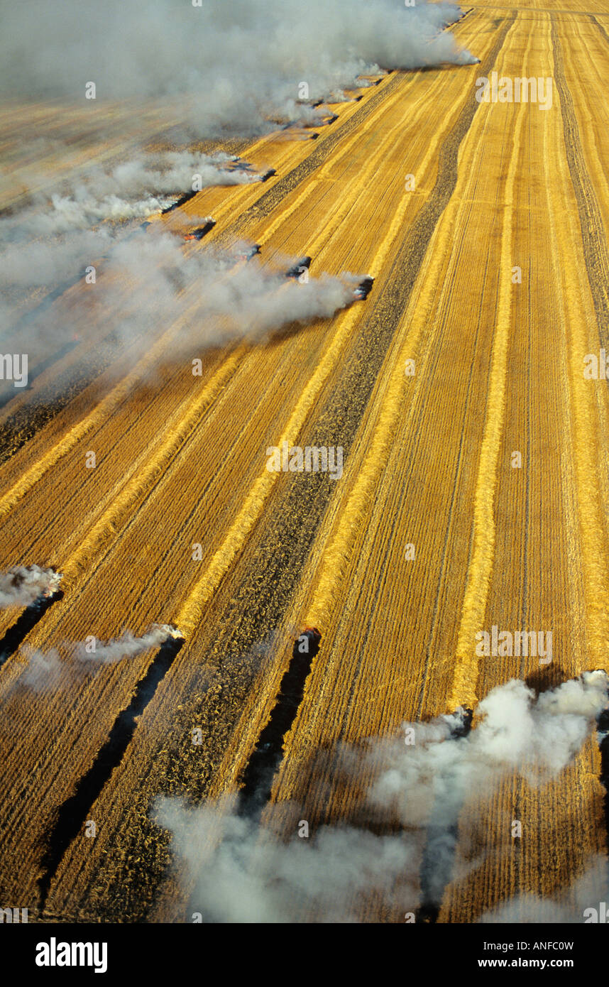 Crop fires hi-res stock photography and images - Alamy