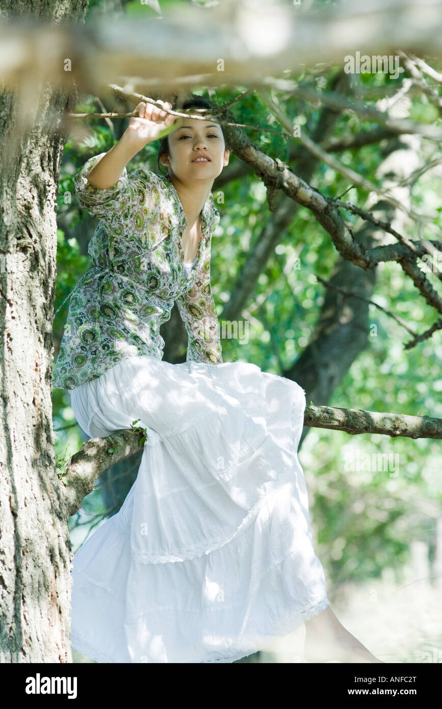 Young woman sitting in tree, looking at camera Stock Photo - Alamy