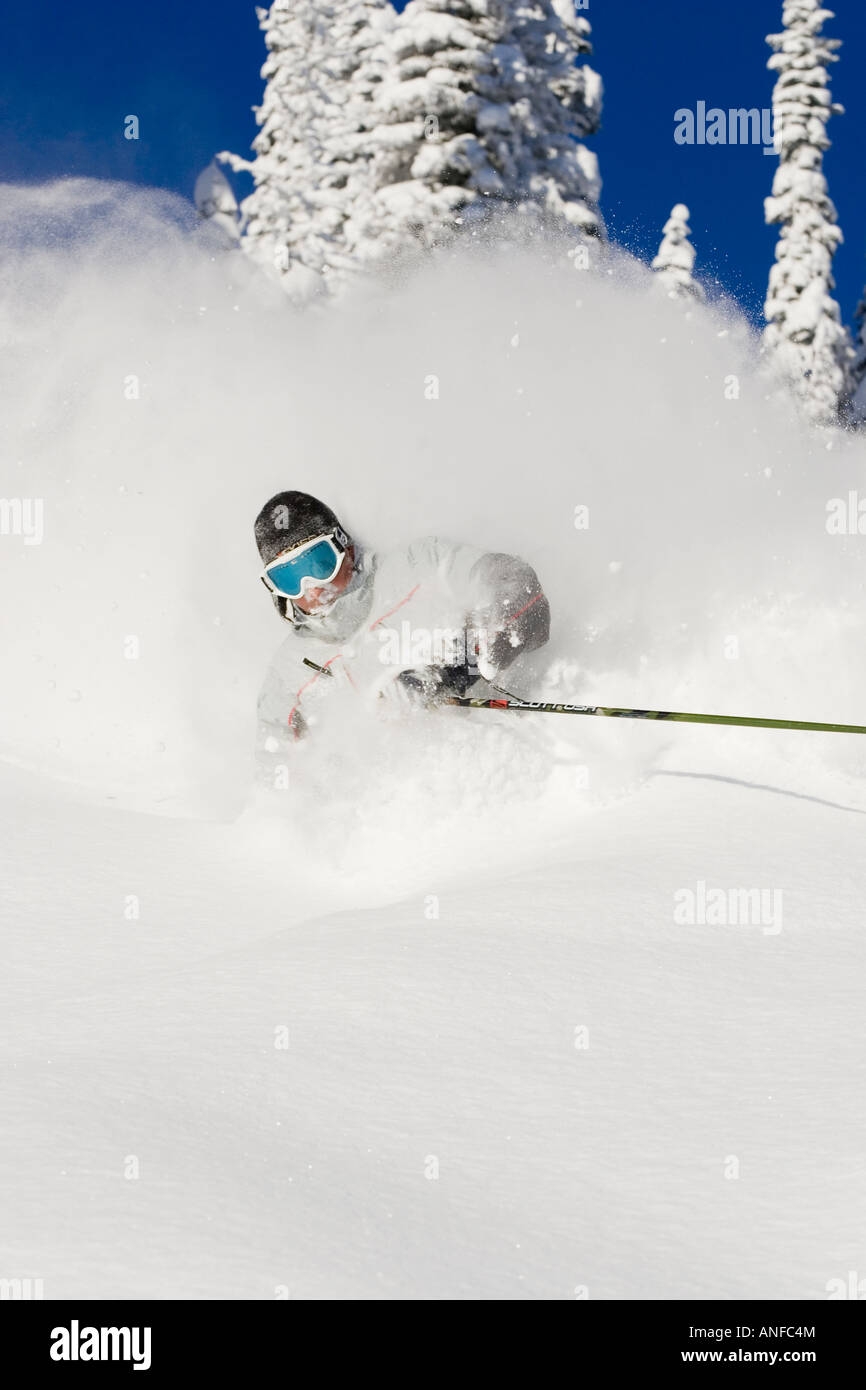 Young man skiing deep powder at Fernie Alpine Resort, Fernie, British ...