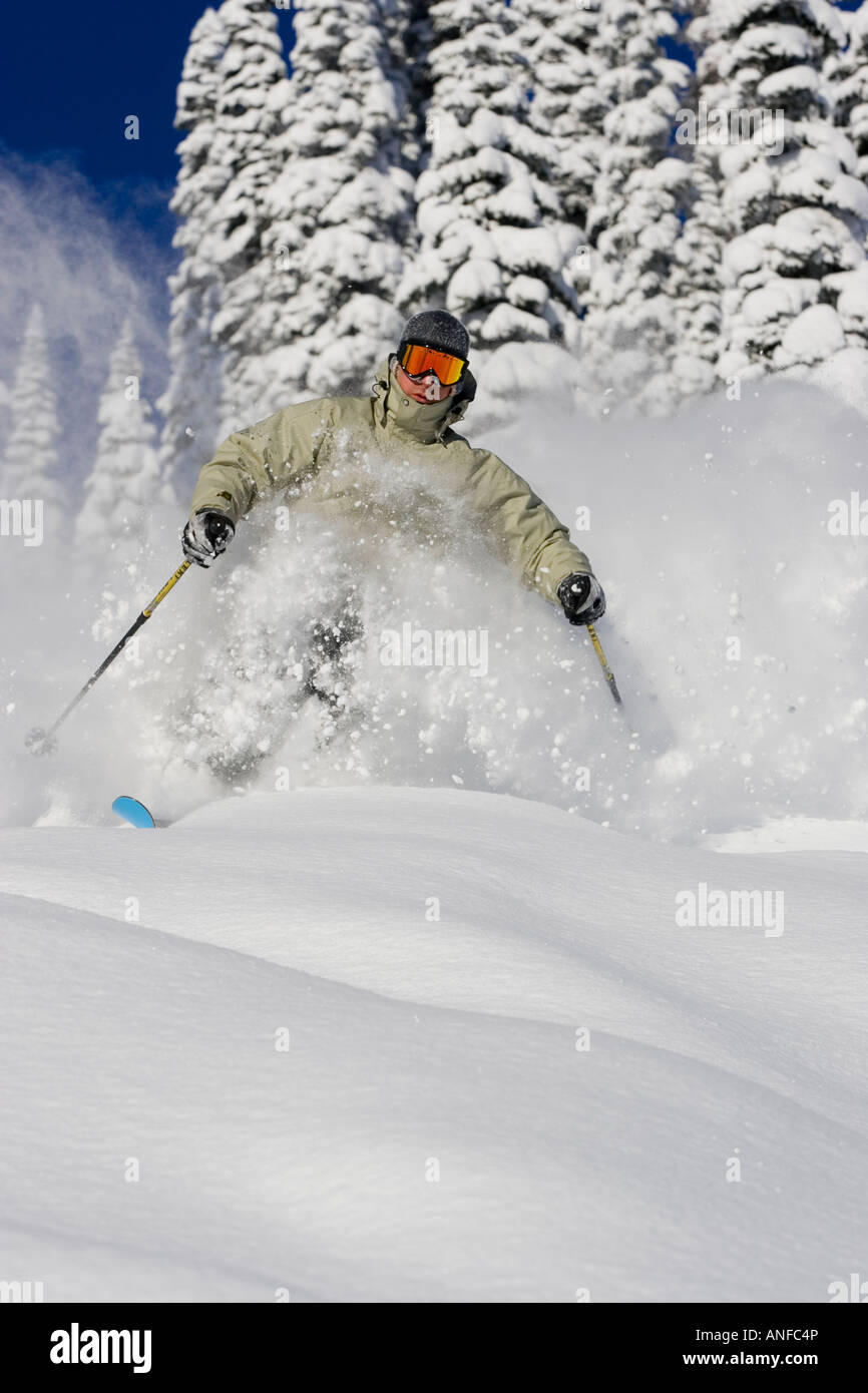 Young man skiing deep powder at fernie alpine resort hi-res stock ...