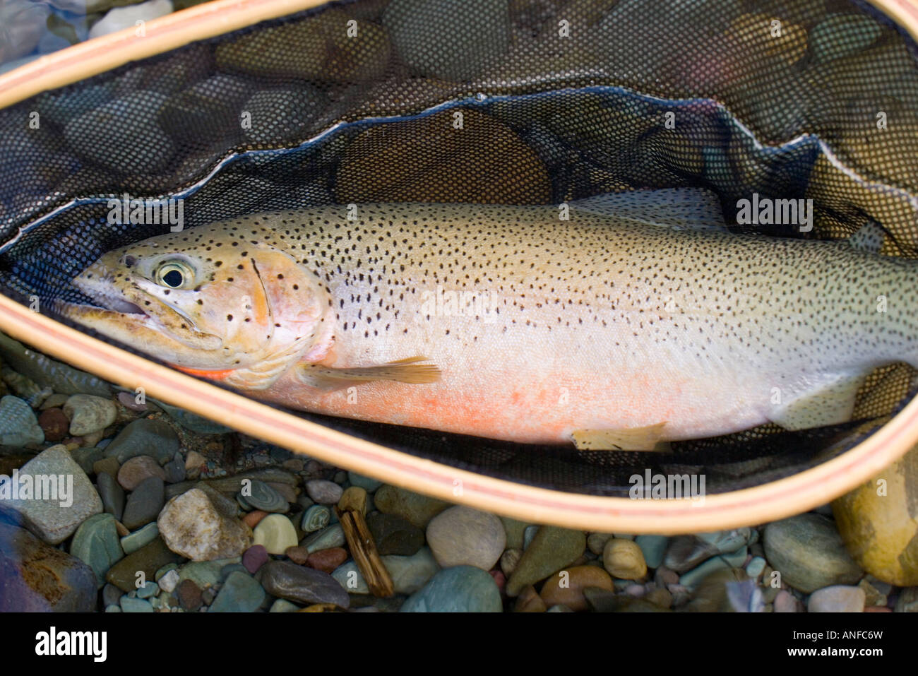 Tributary provinces hi-res stock photography and images - Alamy