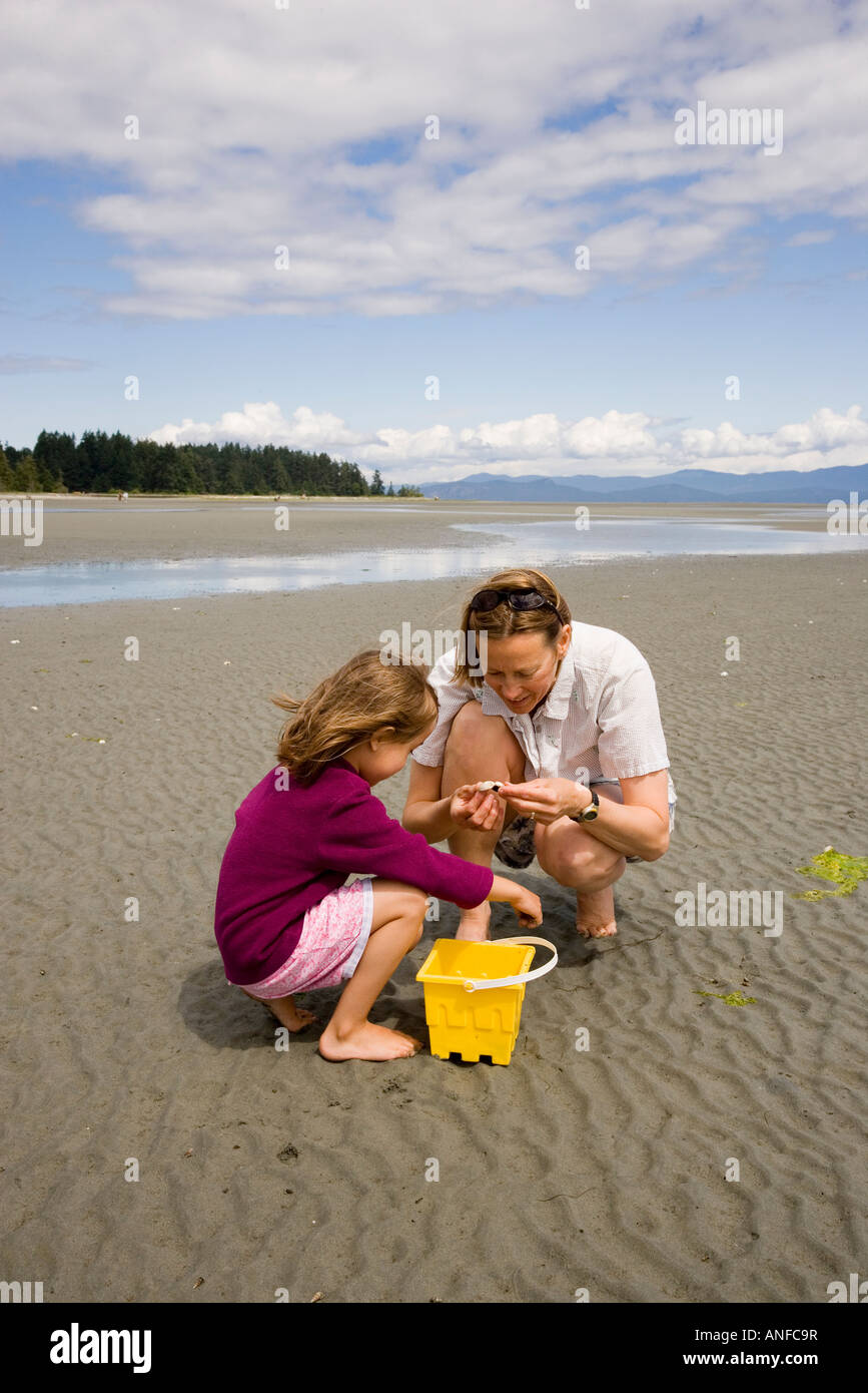 Young Mother With 5 year Old Daughter Collect Shells On Beach At Low young-mother-with-5-year-old-daughter-collect-shells-on-beach-at-low