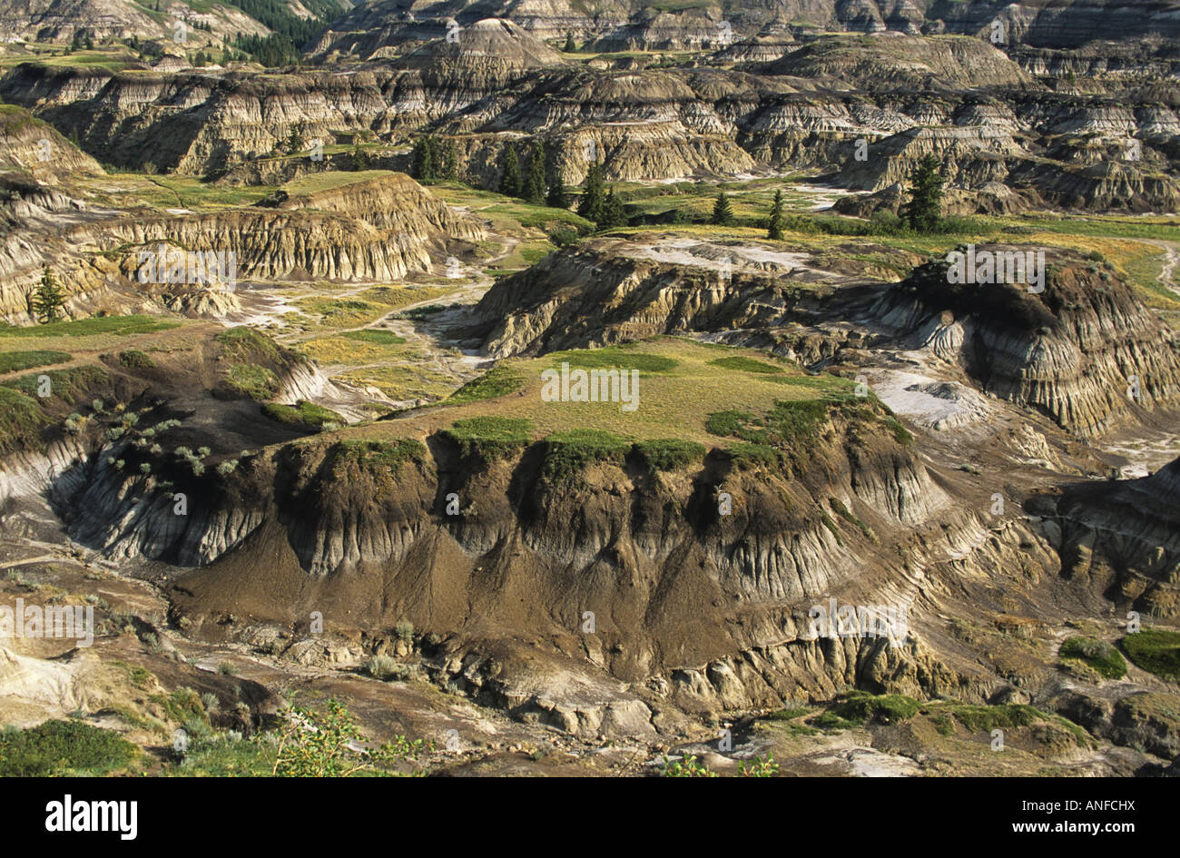 Badlands, Drumheller, Alberta, Canada Stock Photo - Alamy