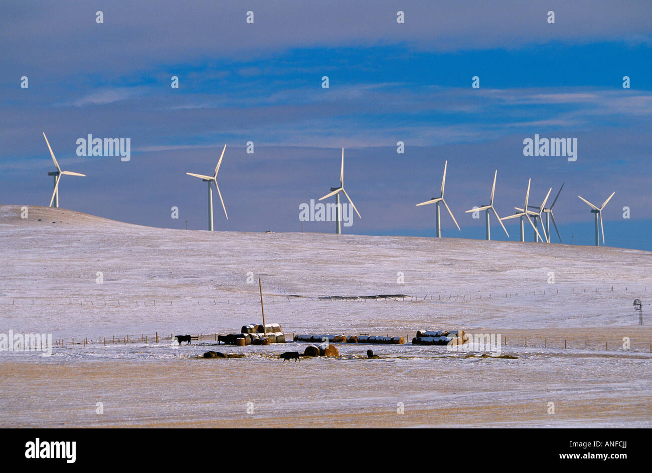 Wind turbines along a ridge in pincher creek hi-res stock photography ...