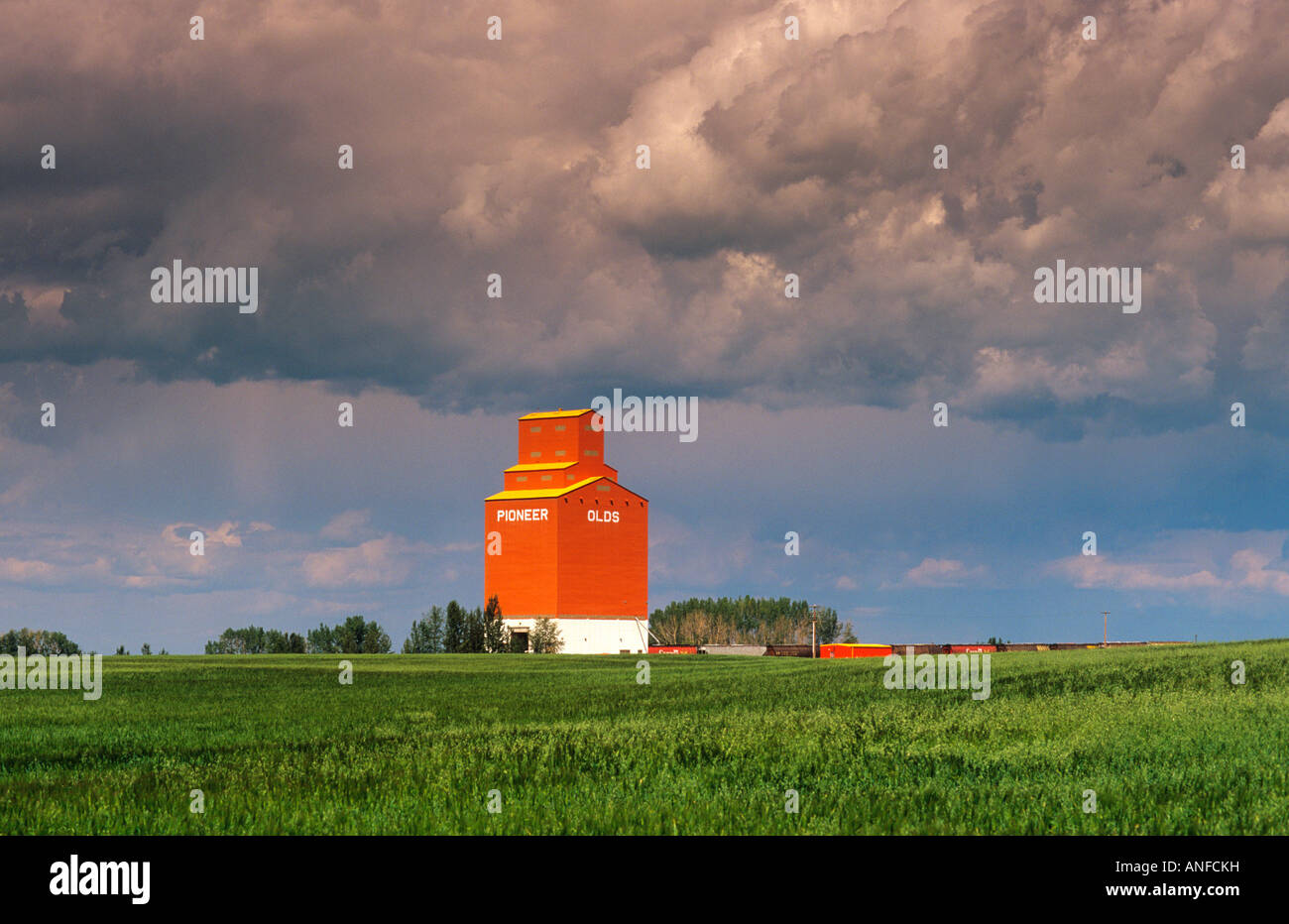 Olds alberta hi-res stock photography and images - Alamy