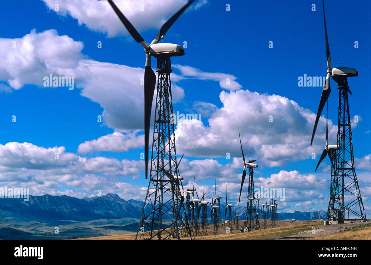 Wind turbines along a ridge in pincher creek hi-res stock photography ...