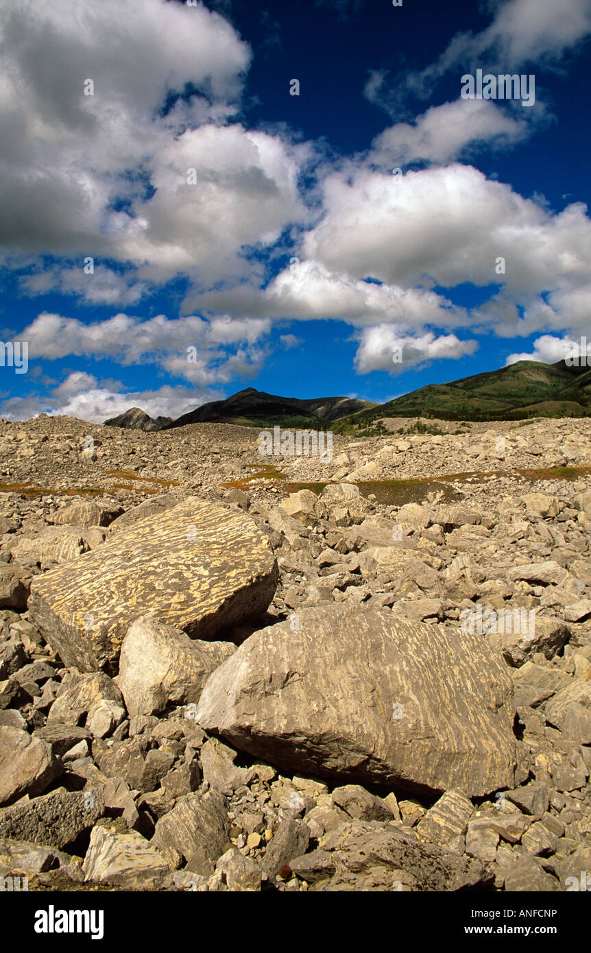 Frank rock slide, alberta hi-res stock photography and images - Alamy