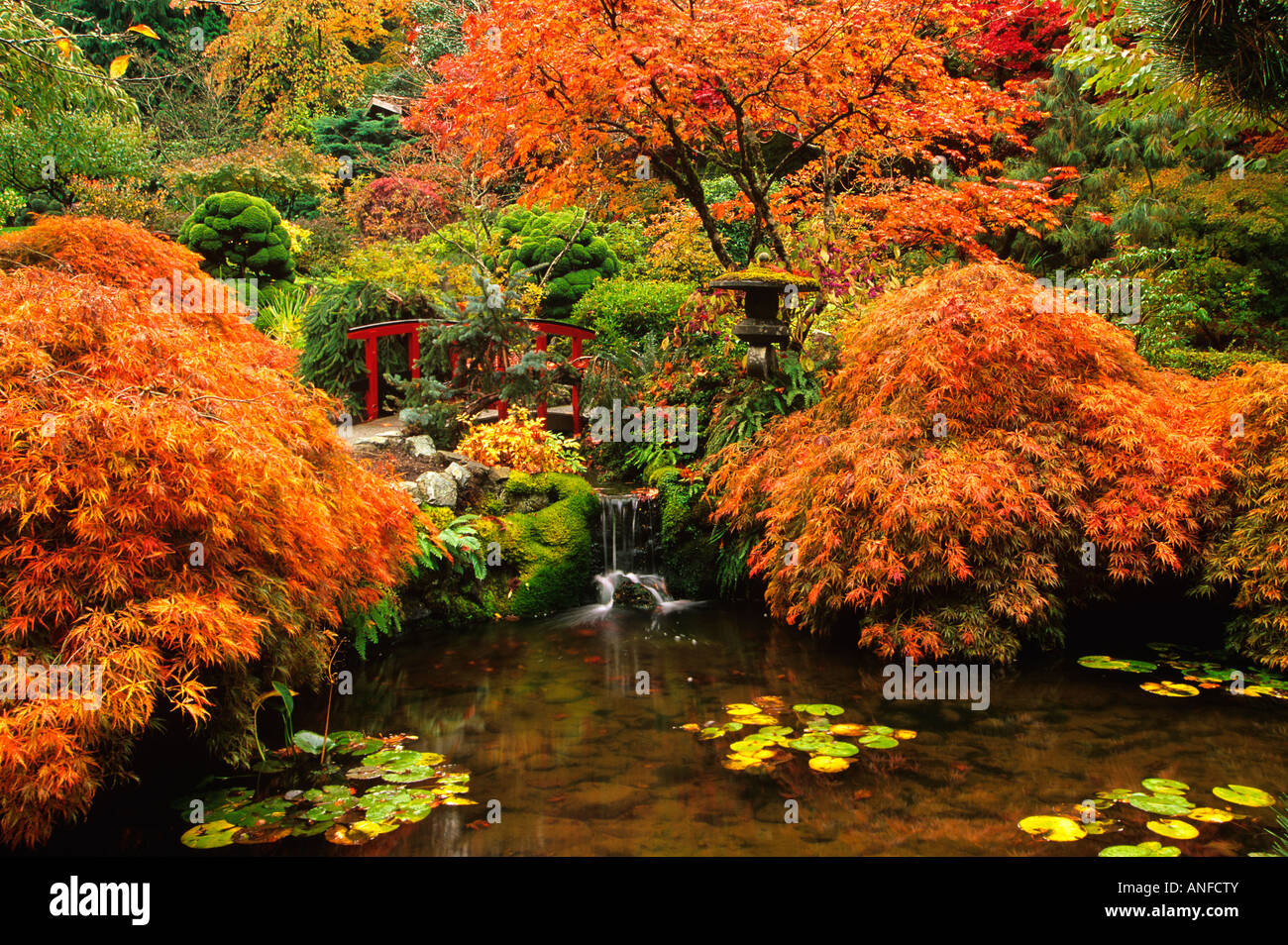 Autumn colors in Butchart Gardens, Victoria, Vancouver Island, British ...