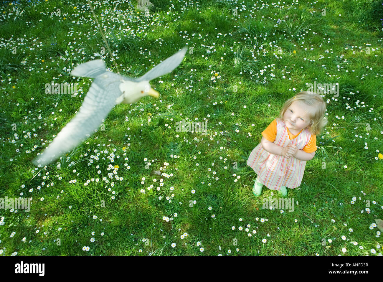 Little girl watching fake bird hanging from string Stock Photo - Alamy