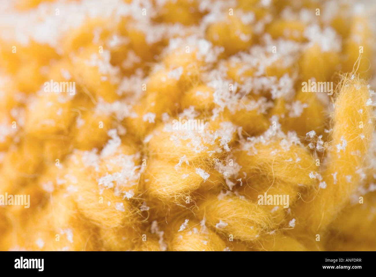 Snow on wool, extreme close-up Stock Photo - Alamy