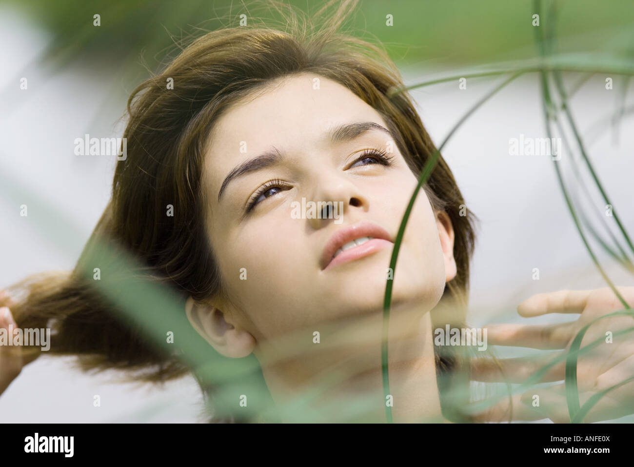 Young woman among tall grass, looking up, portrait Stock Photo - Alamy