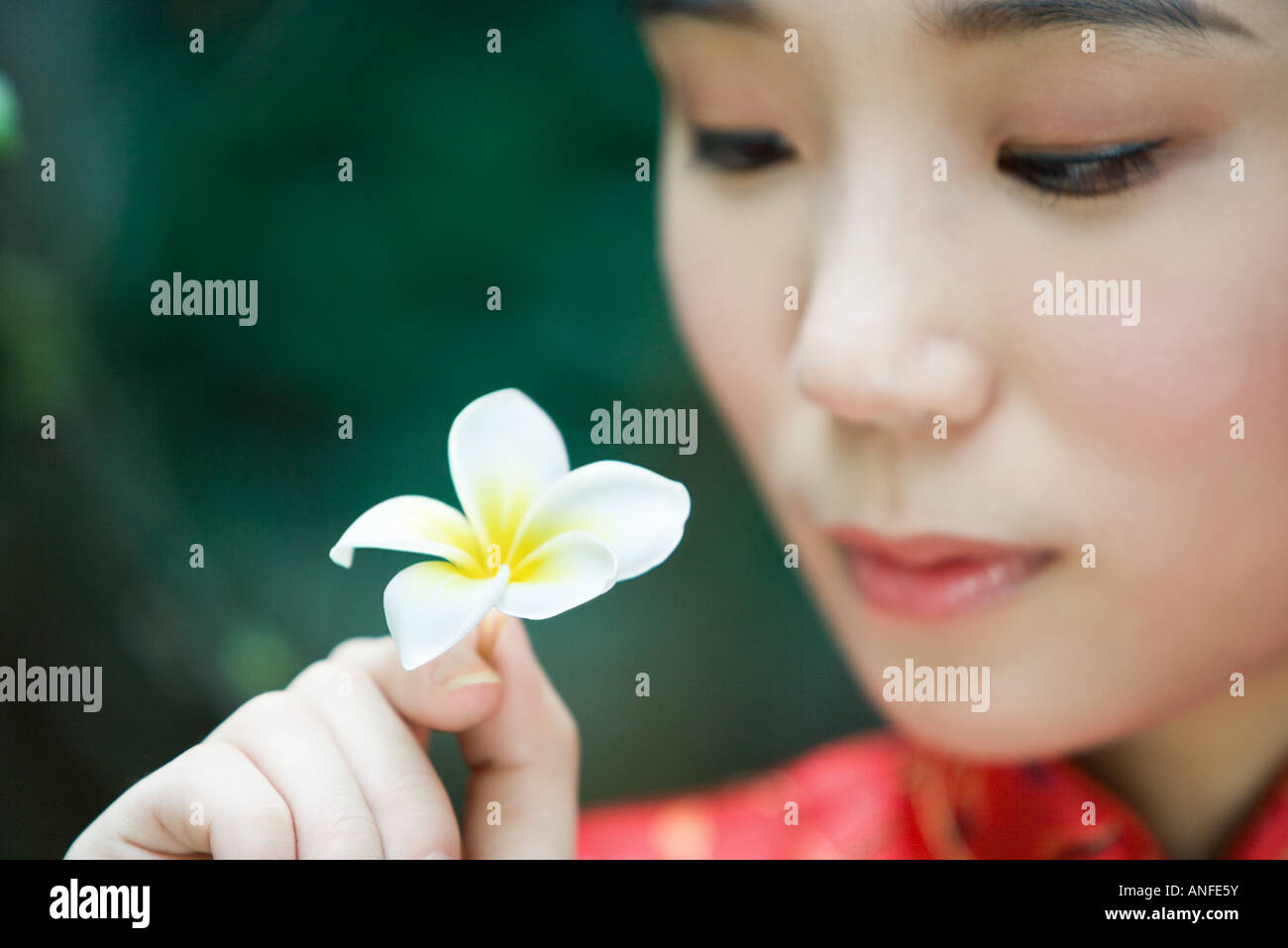 Young woman wearing traditional Chinese clothing, holding flower up ...