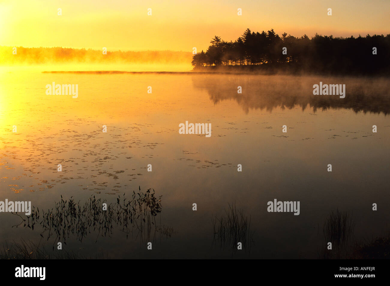 Roseway Rivers at sunset, Nova Scotia, Canada Stock Photo - Alamy