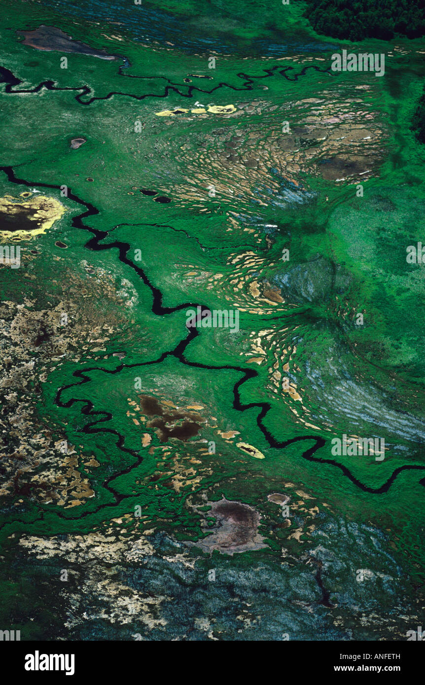 Muskeg hi-res stock photography and images - Alamy