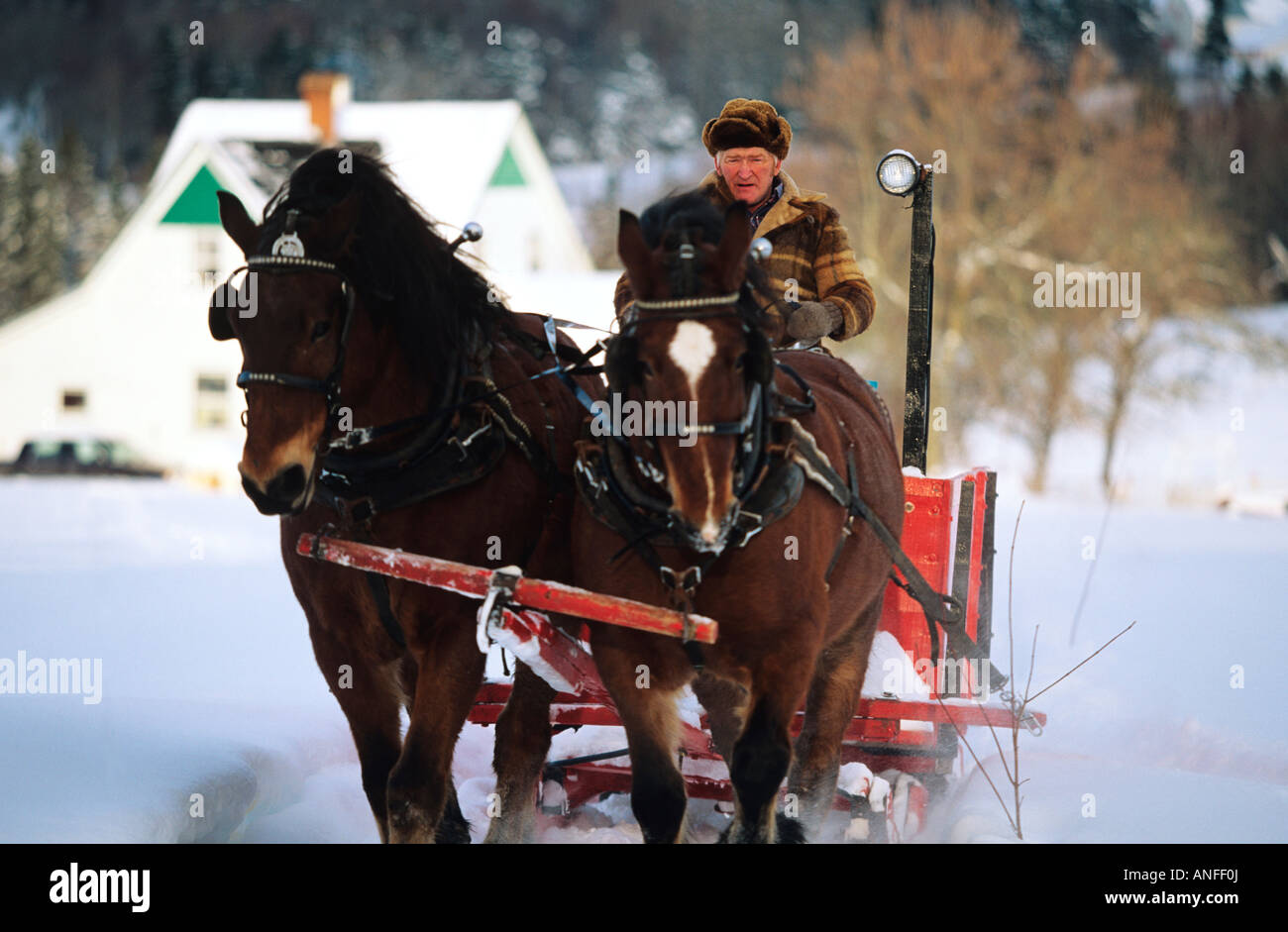 Sleigh ride, Bonshaw, Prince Edward Island, Canada Stock Photo - Alamy