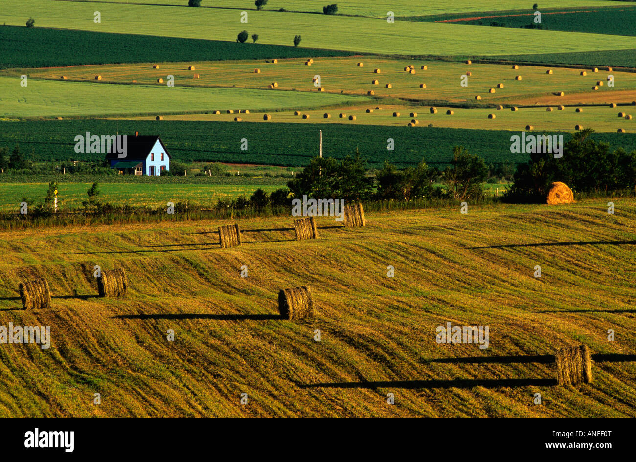 Edward fields hi-res stock photography and images - Alamy