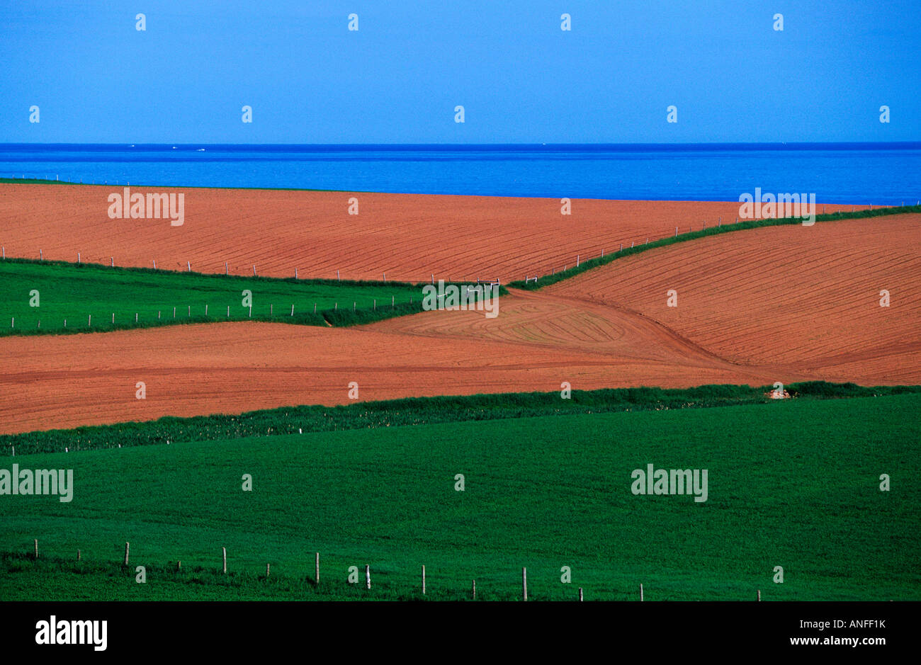 Farm fields, Park Corner, Prince Edward Island, Canada Stock Photo - Alamy