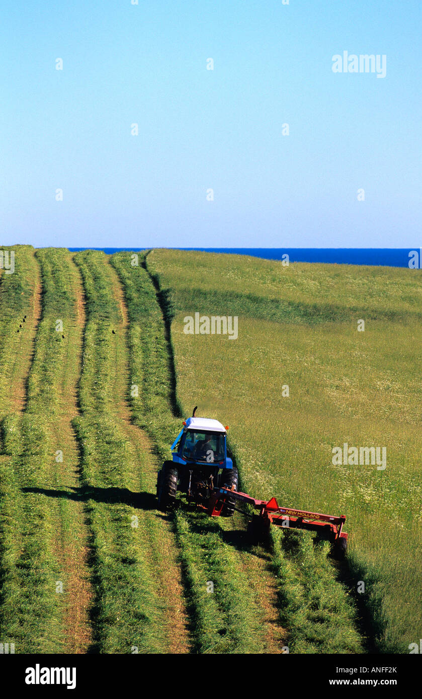 Hay cutting hi-res stock photography and images - Alamy