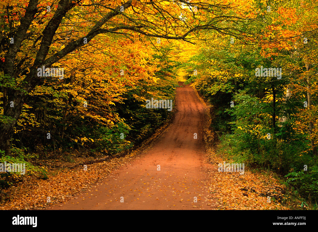 Clay (dirt) road, St. Catherines, Prince Edward Island, Canada Stock ...