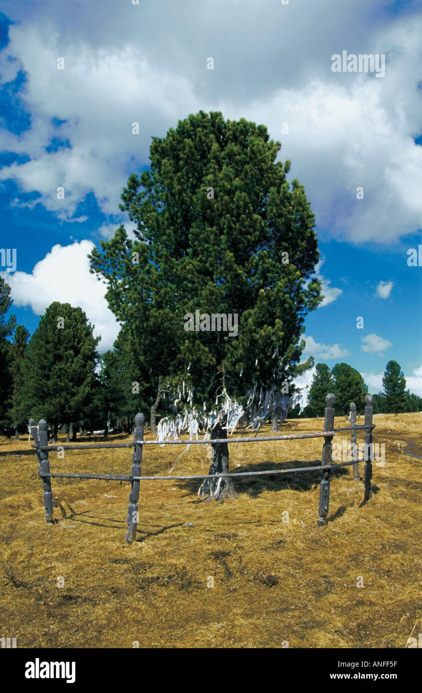 Yalama tied up on trees branches ribbons of different colors ancient ...