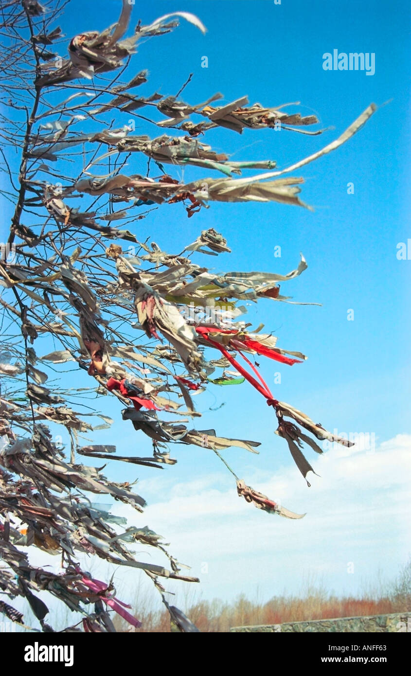 Yalama tied up on trees branches ribbons of different colors ancient ...